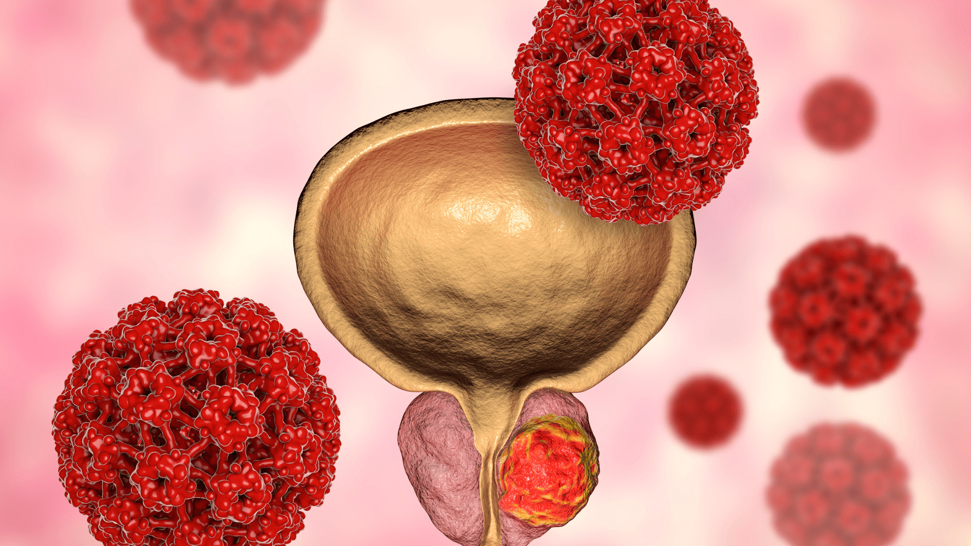 What Is Prostate Health: A Guide To A Healthier Prostate